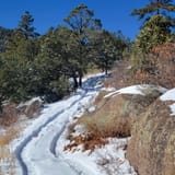 Tanner Trail, Colorado - 115 Reviews, Map | AllTrails