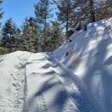 Tanner Trail, Colorado - 115 Reviews, Map | AllTrails