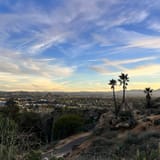 Mount Rubidoux Trail, California - 5,591 Reviews, Map | AllTrails