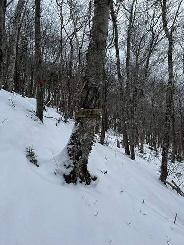 Best Hikes and Trails in Whycocomagh Provincial Park | AllTrails