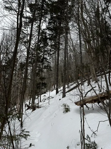 Best Hikes and Trails in Whycocomagh Provincial Park | AllTrails