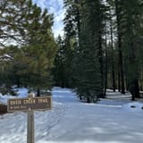 Bassi Falls, California - 2,945 Reviews, Map | AllTrails