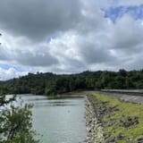 Cossey Massey Loop Track, Auckland, New Zealand - 681 Reviews, Map ...