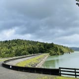 Cossey Massey Loop Track, Auckland, New Zealand - 681 Reviews, Map ...