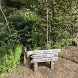 Cossey Massey Loop Track, Auckland, New Zealand - 681 Reviews, Map ...