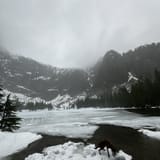 Heather Lake Trail, Washington - 5,615 Reviews, Map | AllTrails