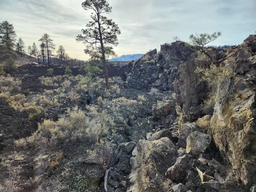 Best Walking Trails in Sunset Crater Volcano National Monument | AllTrails