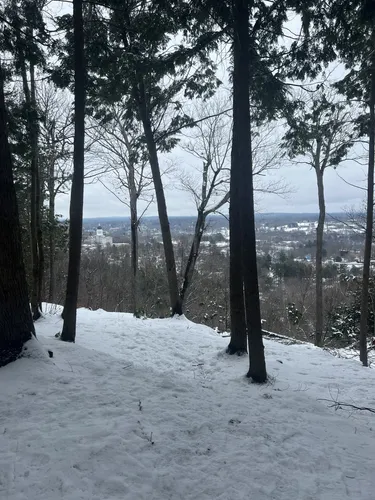 Best Hikes and Trails in Howard Hill Conservation Area | AllTrails