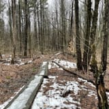 Potomac Trail, New York - 89 Reviews, Map | AllTrails
