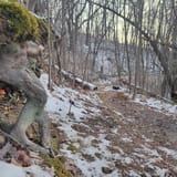 Stringers Ridge via Blue Trail, Tennessee - 1,841 Reviews, Map | AllTrails