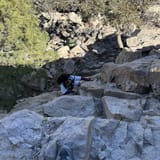 Emory Peak Trail, Texas - 2,029 Reviews, Map | AllTrails