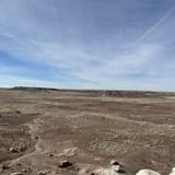 Crystal Forest Trail, Arizona - 1,528 Reviews, Map | AllTrails