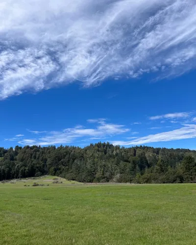 Best Walking Trails in Pogonip Open Space Preserve | AllTrails