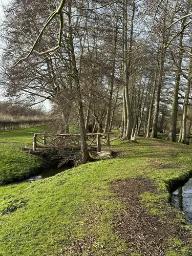 Best Forest Trails in Dedham | AllTrails