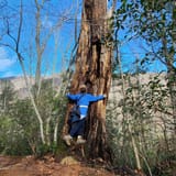 Chestnut Ridge Heritage Preserve Trail, South Carolina - 1,412 Reviews ...