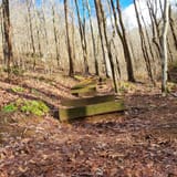 Chestnut Ridge Heritage Preserve Trail, South Carolina - 1,480 Reviews ...
