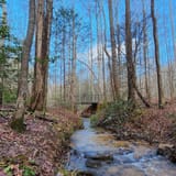 Chestnut Ridge Heritage Preserve Trail, South Carolina - 1,484 Reviews ...
