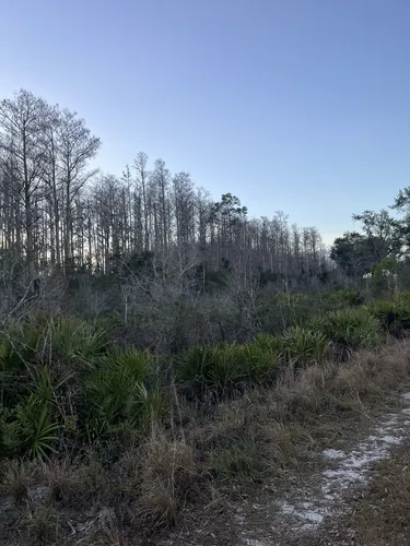 Best Hikes and Trails in SUMICA | AllTrails