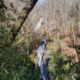 Chestnut Ridge Heritage Preserve Trail, South Carolina - 1,412 Reviews ...