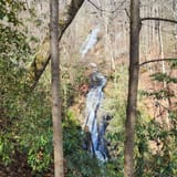 Chestnut Ridge Heritage Preserve Trail, South Carolina - 1,412 Reviews ...