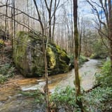 Chestnut Ridge Heritage Preserve Trail, South Carolina - 1,480 Reviews ...
