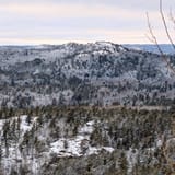 Wetmore Landing Shoreline Trail, Michigan - 136 Reviews, Map | AllTrails