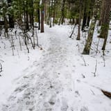 Wetmore Landing Shoreline Trail, Michigan - 136 Reviews, Map | AllTrails