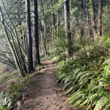 Washington Park Loop, Oregon - 1,536 Reviews, Map | AllTrails