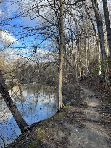 Best Moderate Trails in Silver Spring | AllTrails