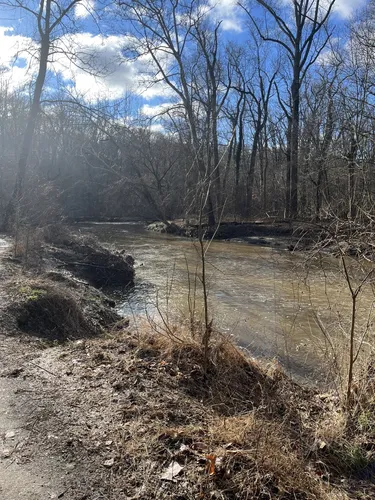 Best Moderate Trails in Silver Spring | AllTrails