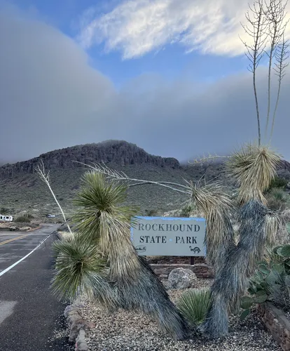 Best Hikes and Trails in Rockhound State Park | AllTrails