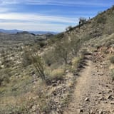Dixie Mountain Loop Trail, Arizona - 3,125 Reviews, Map | AllTrails