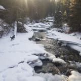 Hell Roaring Creek Trail, Montana - 467 Reviews, Map | AllTrails