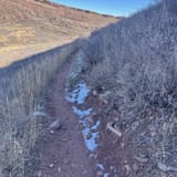 Devil's Backbone Nature Trail, Colorado - 2,088 Reviews, Map | AllTrails