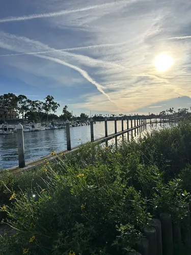 Best Beach Trails in Seal Beach | AllTrails