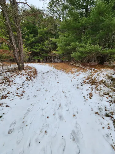 Best Hikes and Trails in Calverton Ponds Preserve | AllTrails