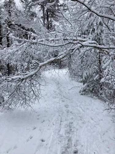 Best Hikes and Trails in Brunswick Town Commons | AllTrails