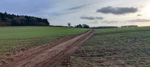 Best Hikes and Trails in Baggeridge Country Park | AllTrails