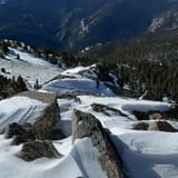 Chief Mountain Trail, Colorado - 8,249 Reviews, Map | AllTrails