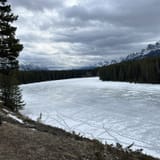 Johnson Lake, Alberta, Canada - 1,620 Reviews, Map | AllTrails