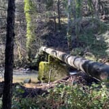 Grass Valley Wolf Creek Trail, California - 217 Reviews, Map | AllTrails