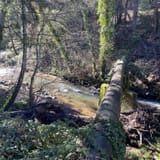 Grass Valley Wolf Creek Trail, California - 217 Reviews, Map | AllTrails