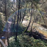 Grass Valley Wolf Creek Trail, California - 217 Reviews, Map | AllTrails