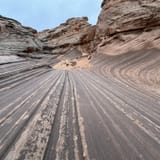The New Wave Trail, Arizona - 537 Reviews, Map | AllTrails