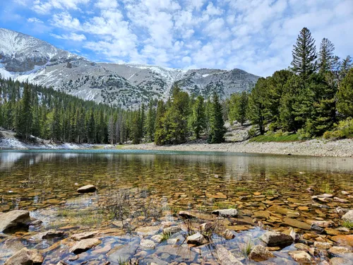 Best Easy Trails in Great Basin National Park | AllTrails