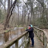 Chapel Branch Nature Loop, Delaware - 228 Reviews, Map | AllTrails