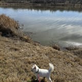 Dunbar Historical Lake East and West Loop, Texas - 204 Reviews, Map ...