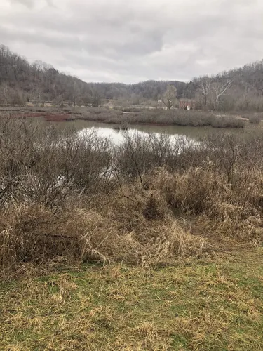 Best Hikes and Trails in Green Bottom Wildlife Management Area | AllTrails