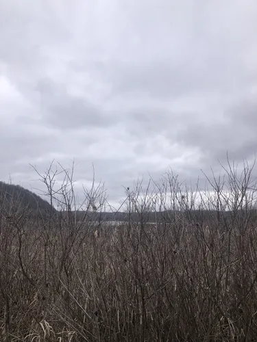 Best Hikes and Trails in Green Bottom Wildlife Management Area | AllTrails