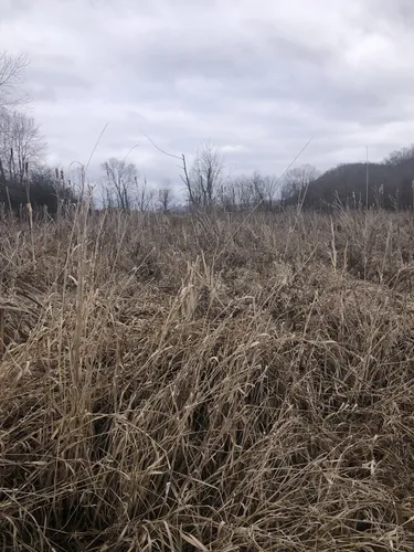 Best Hikes and Trails in Green Bottom Wildlife Management Area | AllTrails